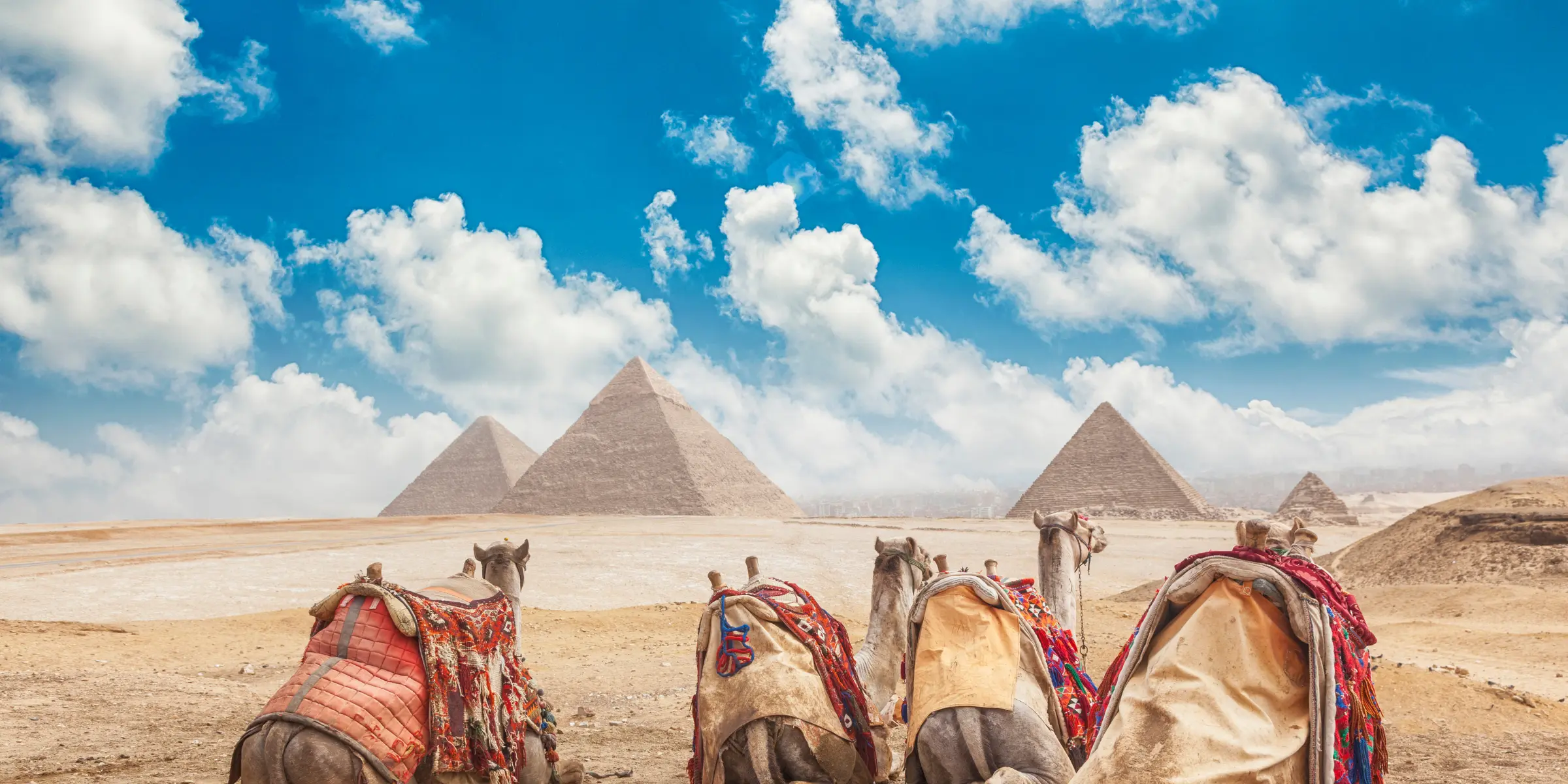 Egypt 🇪🇬 | Travel Vaccines & Health Advice